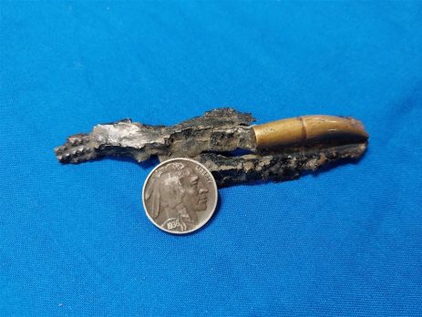 Shrapnel trench art WWI - Doughboy Military Collectables Springfield ...